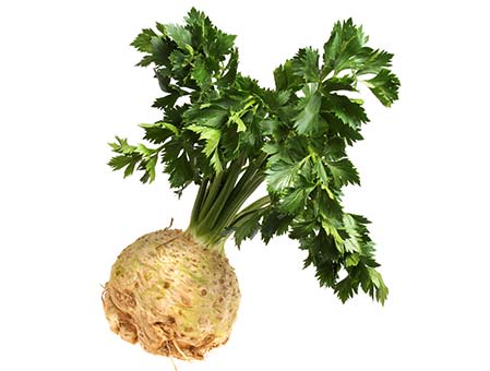 Le céleri rave - Priméale