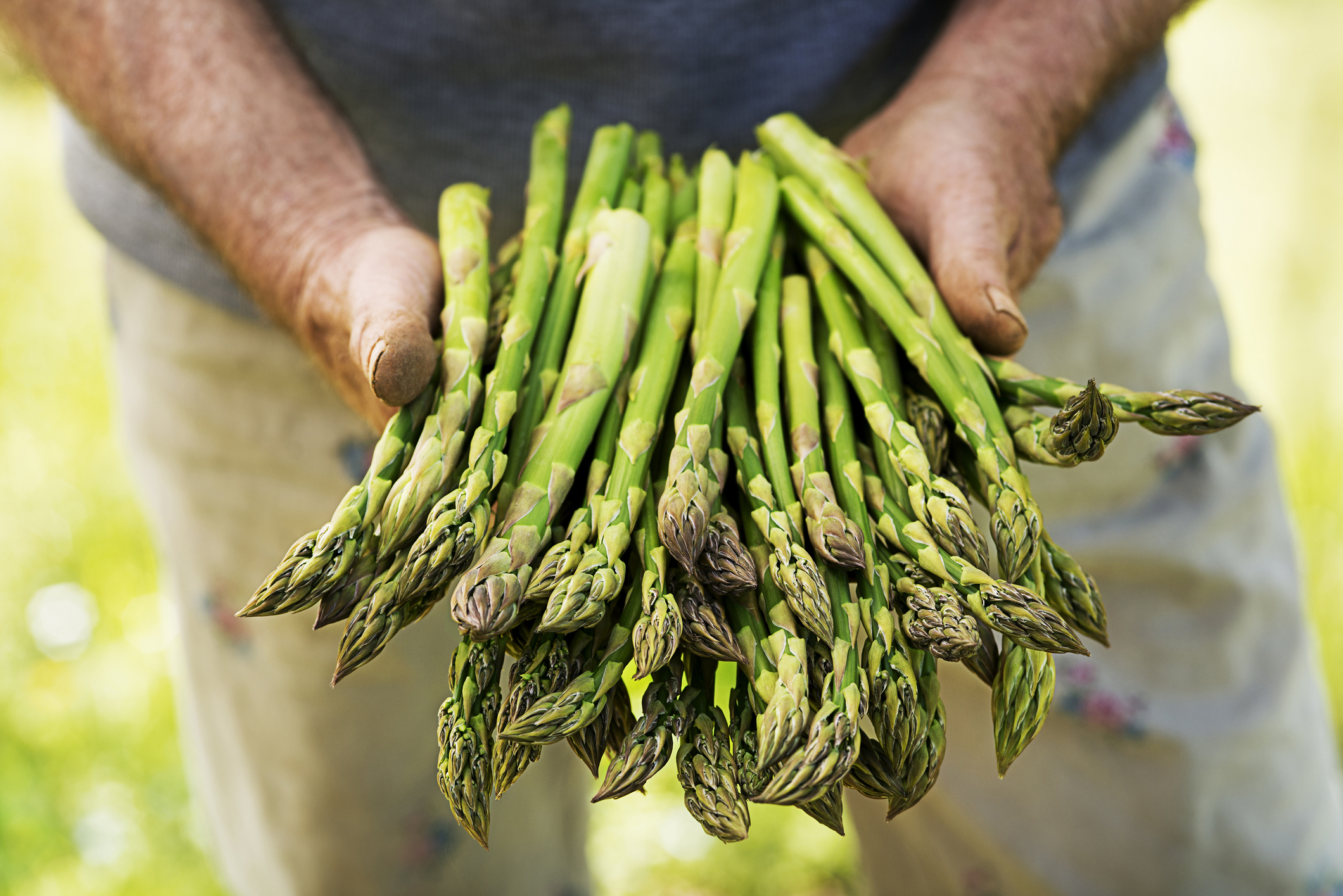 Conservation et propriétés des asperges - Priméale