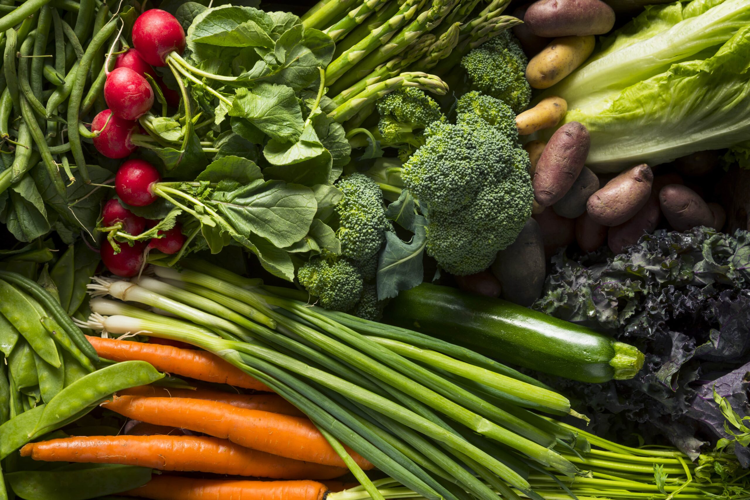 L'Etal Priméale - Priméale