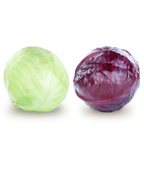 Priméale cultive le plaisir des légumes frais