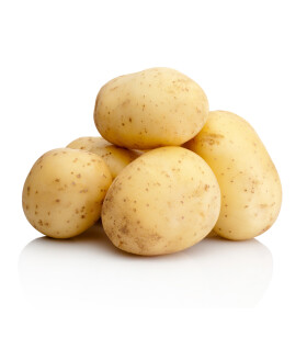 Priméale cultive le plaisir des légumes frais