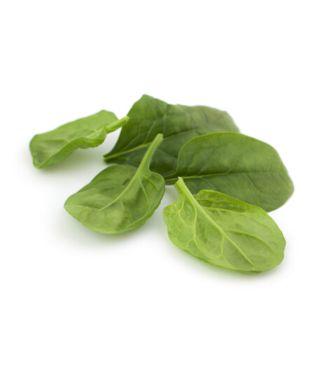 Priméale cultive le plaisir des légumes frais